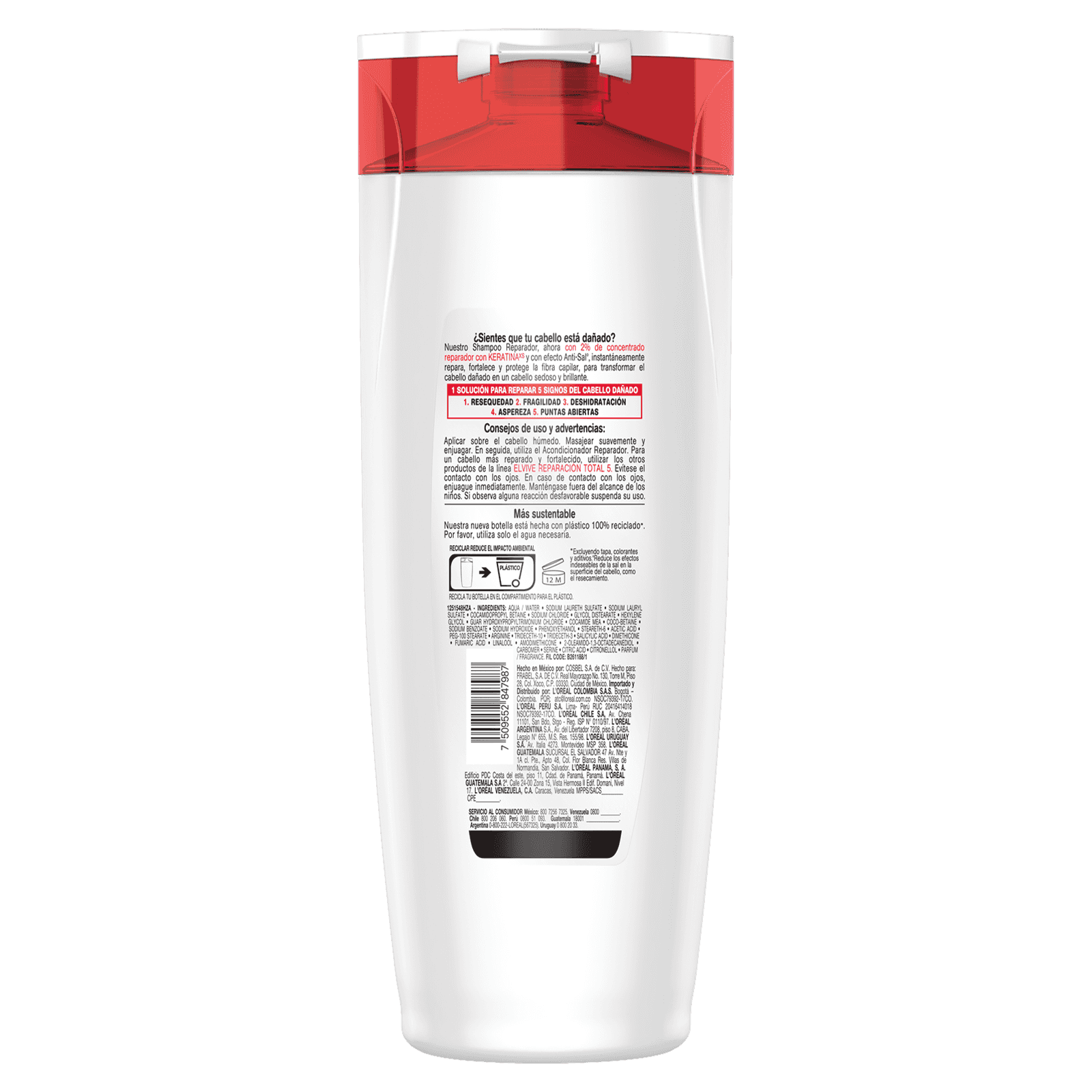Elvive Shampoo